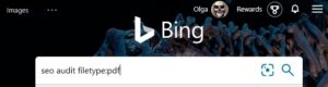 Bing Search Operators - SEOSLY - Olga Zarr