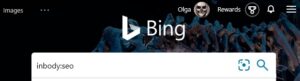 Bing Search Operators - SEOSLY - Olga Zarr