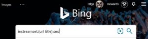 30+ Bing Search Operators & Examples (Bing Advanced Search)