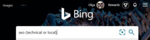 Bing Search Operators - SEOSLY - Olga Zarr