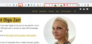 Ahrefs SEO Toolbar: One SEO Extension to Rule Them All - SEOSLY - Olga Zarr