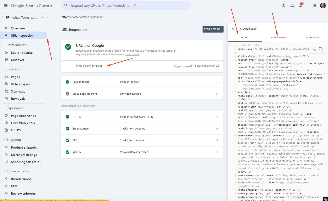 JavaScript SEO Guide for SEOs and Developers - SEOSLY - Olga Zarr